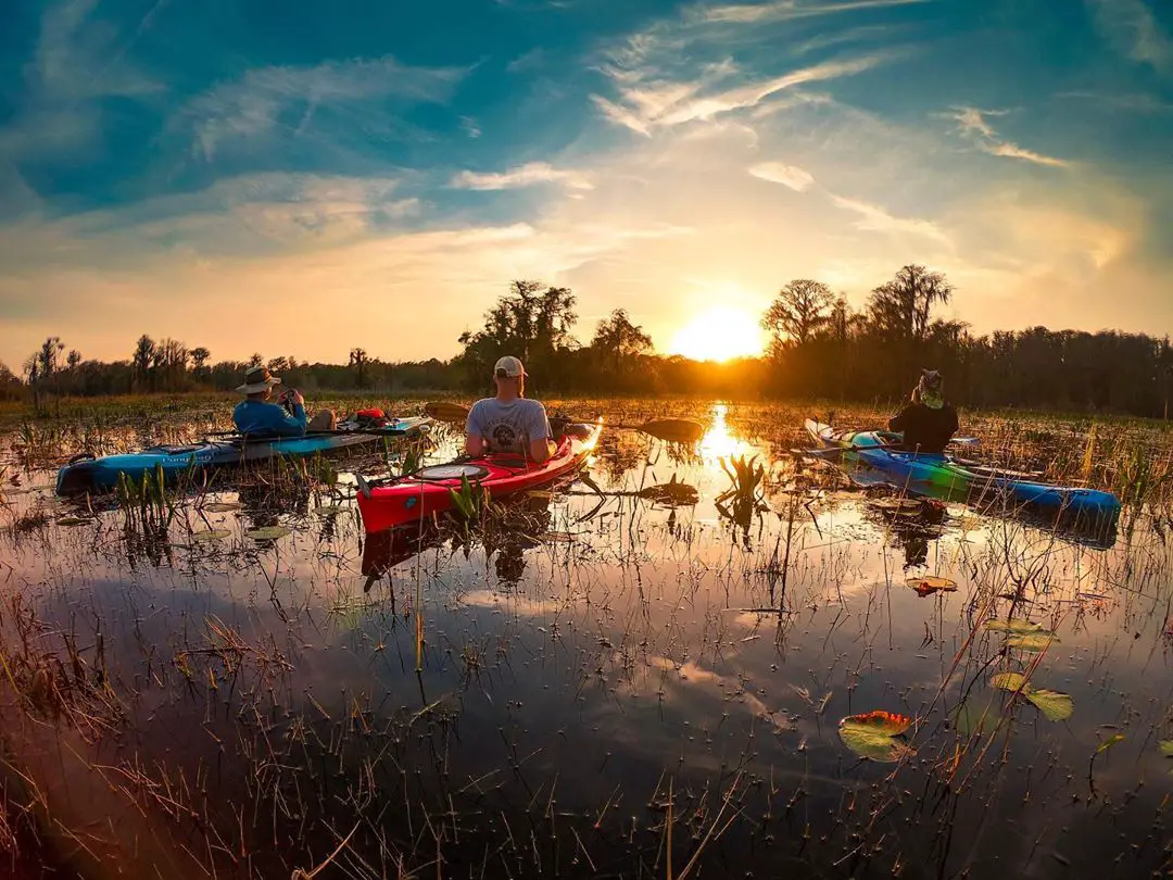 Kayaking In Georgia: Top 10 Launch Spots Mapped • Kayaking Near Me