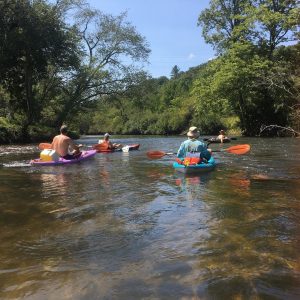 Kayaking In Georgia: Top 10 Launch Spots Mapped • Kayaking Near Me