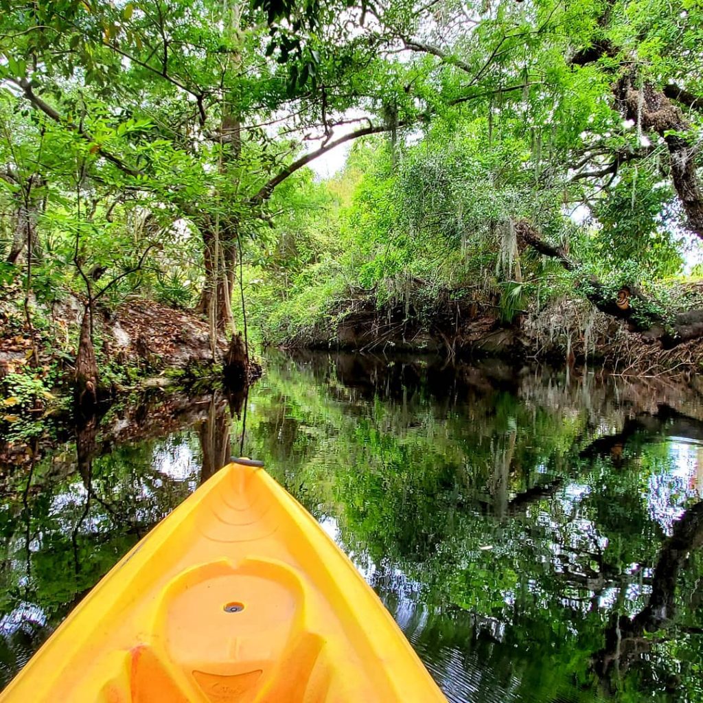 Kayaking In Florida: Top 23 Launch Spots Mapped • Kayaking Near Me