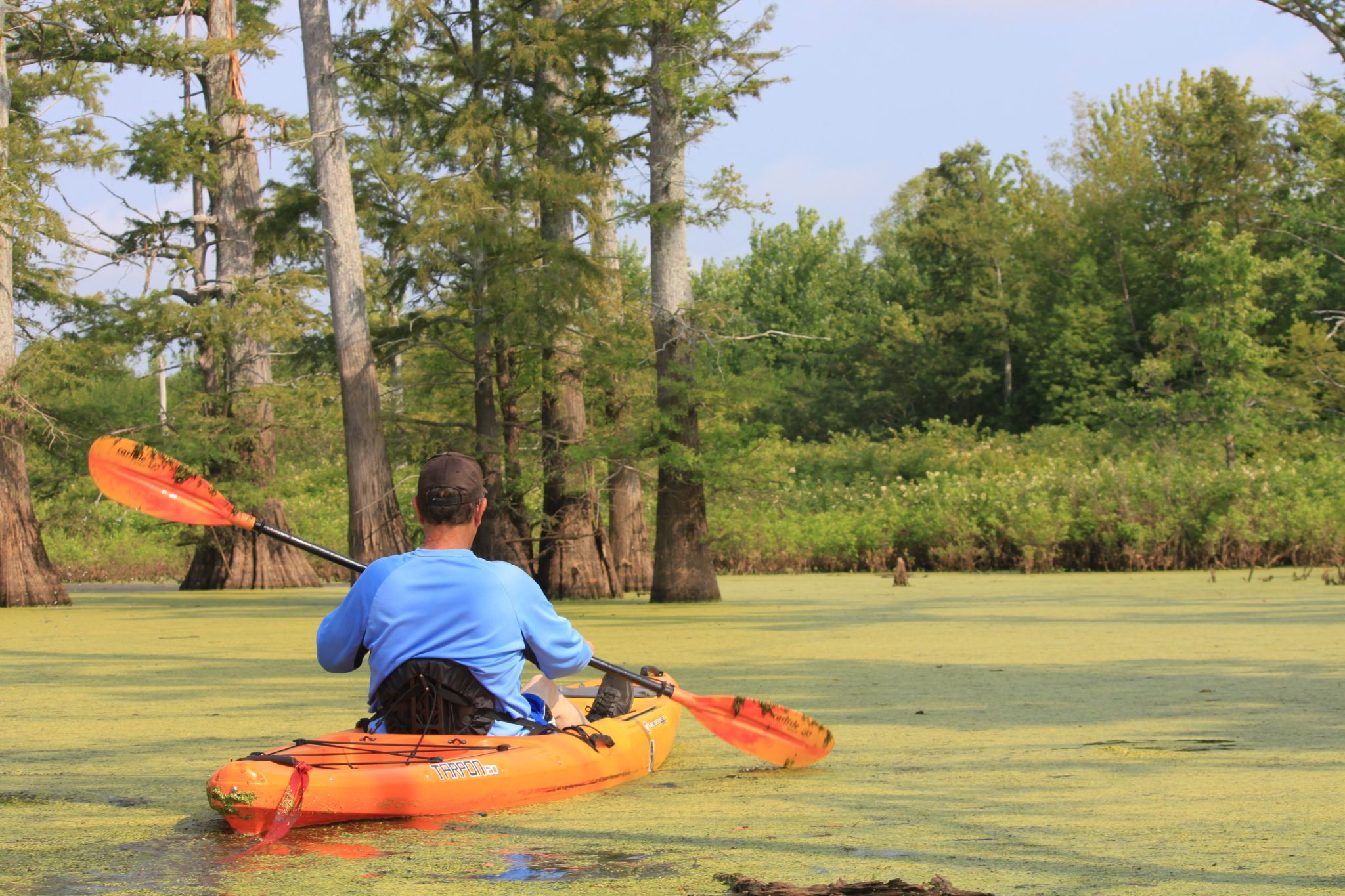 The Best Places To Go Kayaking in Illinois • Kayaking Near Me