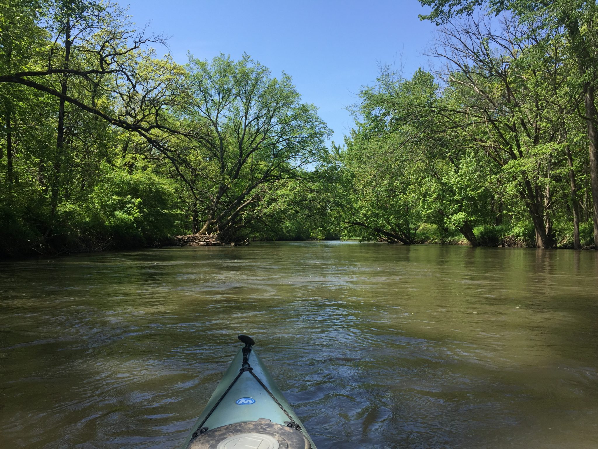 The Best Places To Go Kayaking in Illinois • Kayaking Near Me