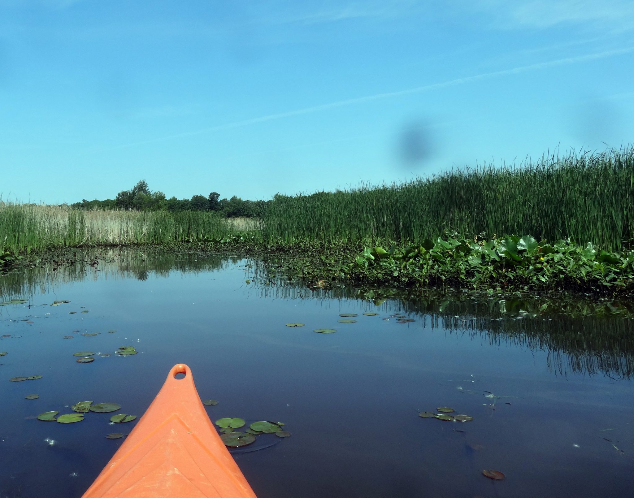 14 Best Kayaking Spots in Pennsylvania - Kayaking Near Me